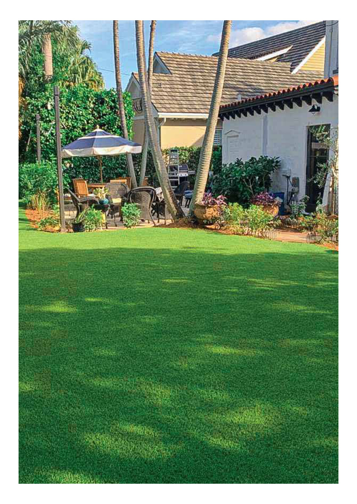 Artificial Grass & Accessories Catalog