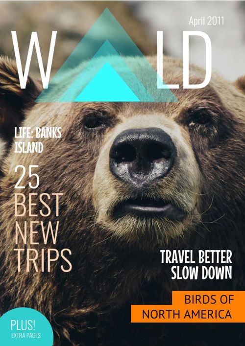 Gratis Online Magazin-Cover-Maker. Cover Erstellen & Gestalten - Flipsnack