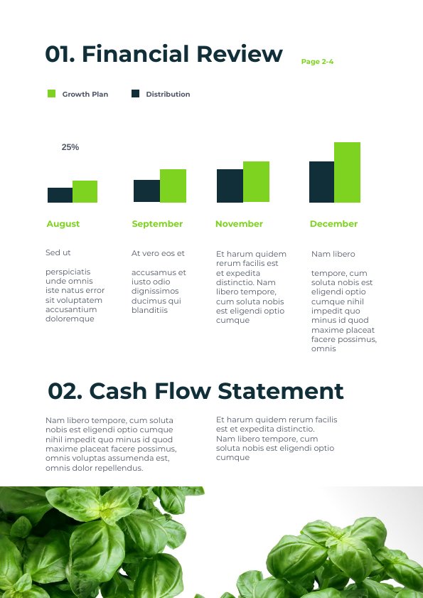 Modern & Clean Annual Report Template - Flipsnack