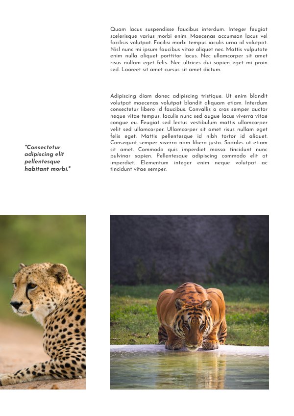 Plantilla para revista de animales y vida silvestre - Flipsnack