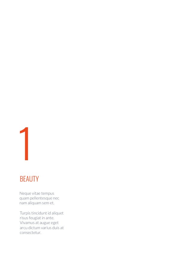 Minimalist Project Presentation Template & Design - Flipsnack